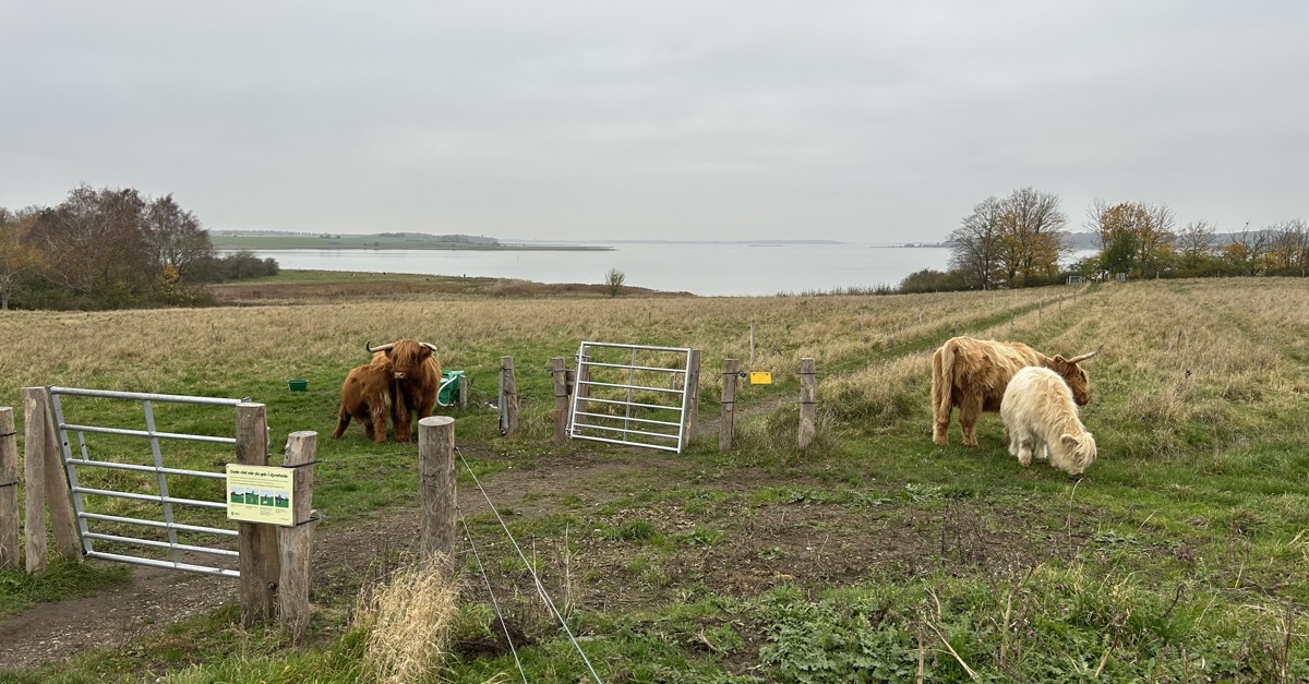 Natuurbeheer