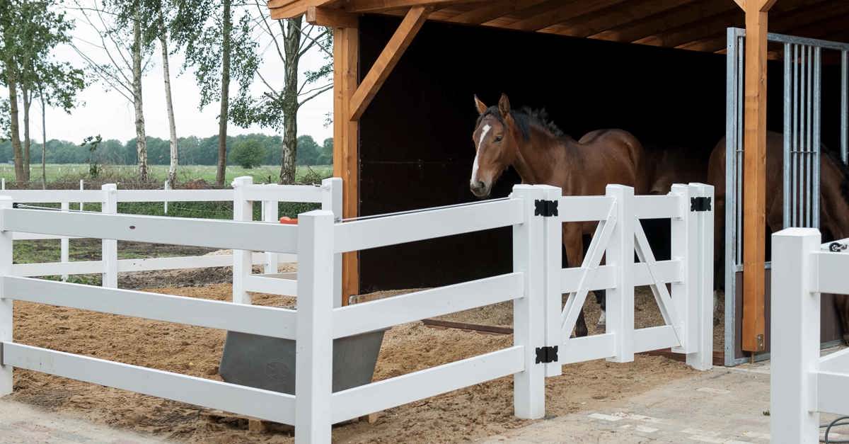 Dallas | Kunststof afrastering voor paarden